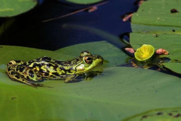 Nature photography workshop with Simon Lunn | The Millstone